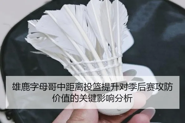 雄鹿字母哥中距离投篮提升对季后赛攻防价值的关键影响分析 - 皇冠体育